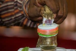 The 3 Types of Snake Venom (Explained)