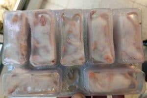 Frozen Feeder Mice (the 12 Best Places to Get Them) - Wildlife Informer