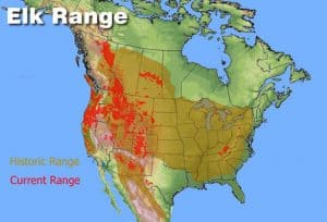 Elk Population By State (Estimates and Info) - Wildlife Informer