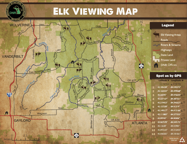 Elk Population By State (Estimates and Info) - Wildlife Informer