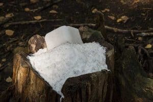 Why Do Deer Like Salt Licks? - Wildlife Informer