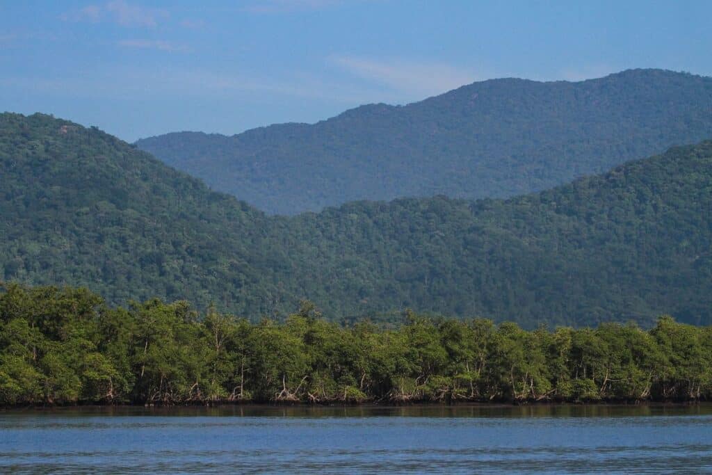 8 Types of Ocean Ecosystems (Examples) - Wildlife Informer