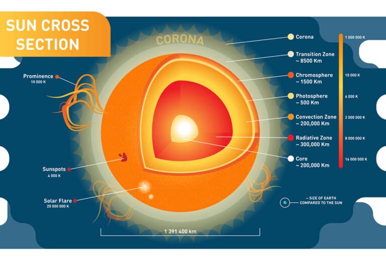 Here are the 7 Layers of the Sun (Diagram) - Wildlife Informer