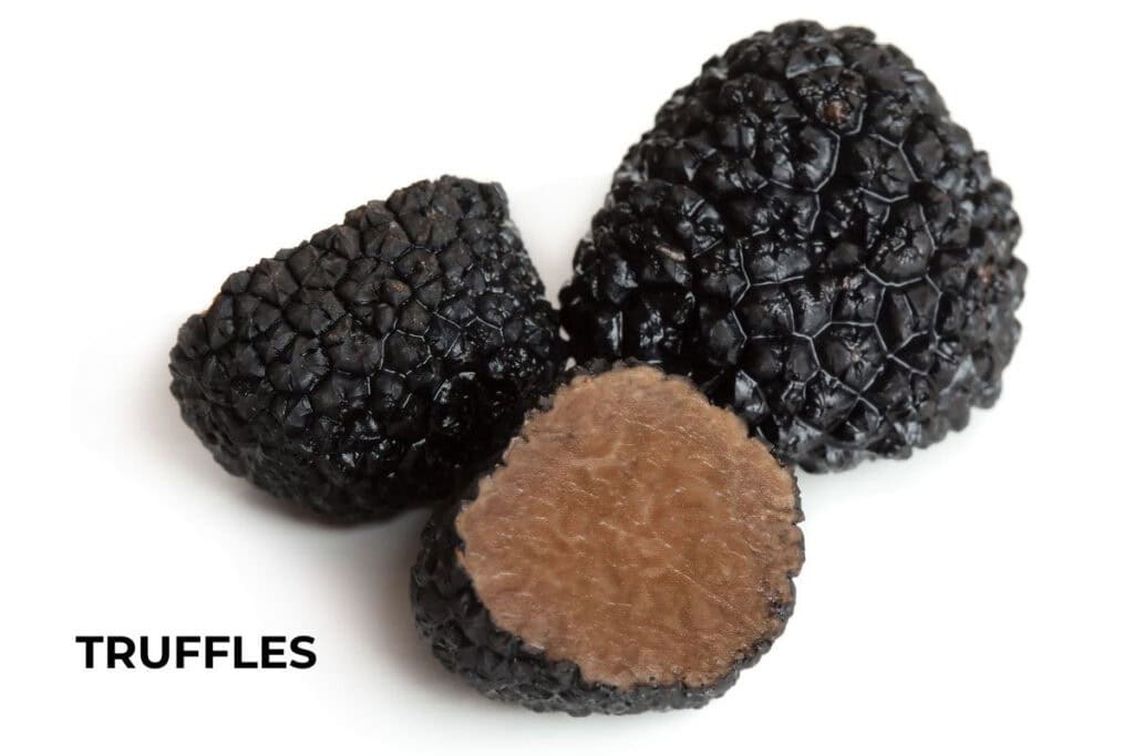 Animal Facts and Nature Information - Wildlife Informer