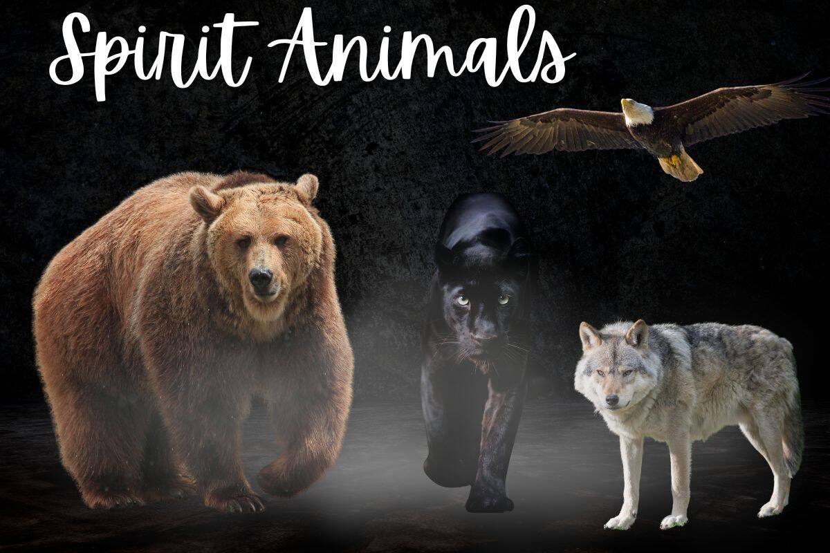 23 Spirit Animals: Origins, Meanings, Quiz - Wildlife Informer