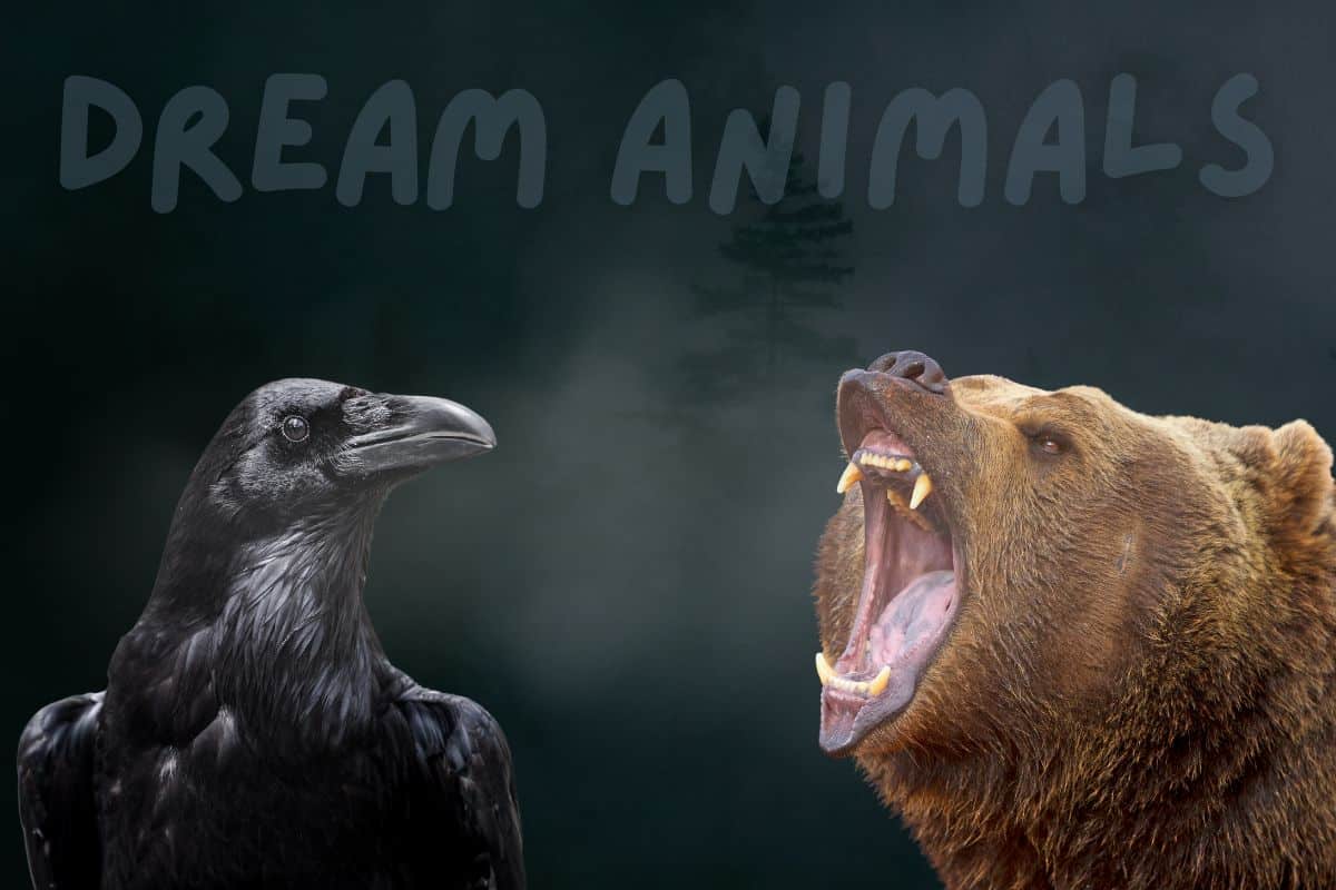 25 Different Animals in Dreams and What They Might Mean - Wildlife Informer